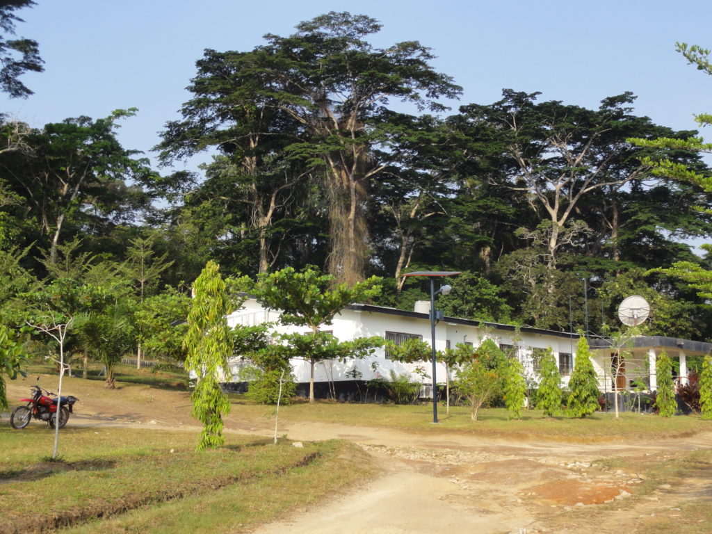 Corruption allegation hangs over CARI administration - Liberia Public Radio