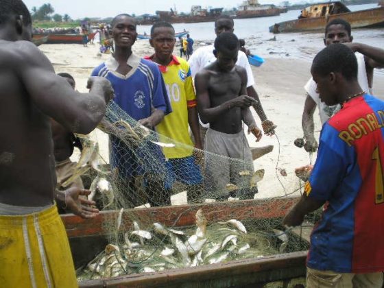 NaFAA announces price reduction in fish products - Liberia Public Radio