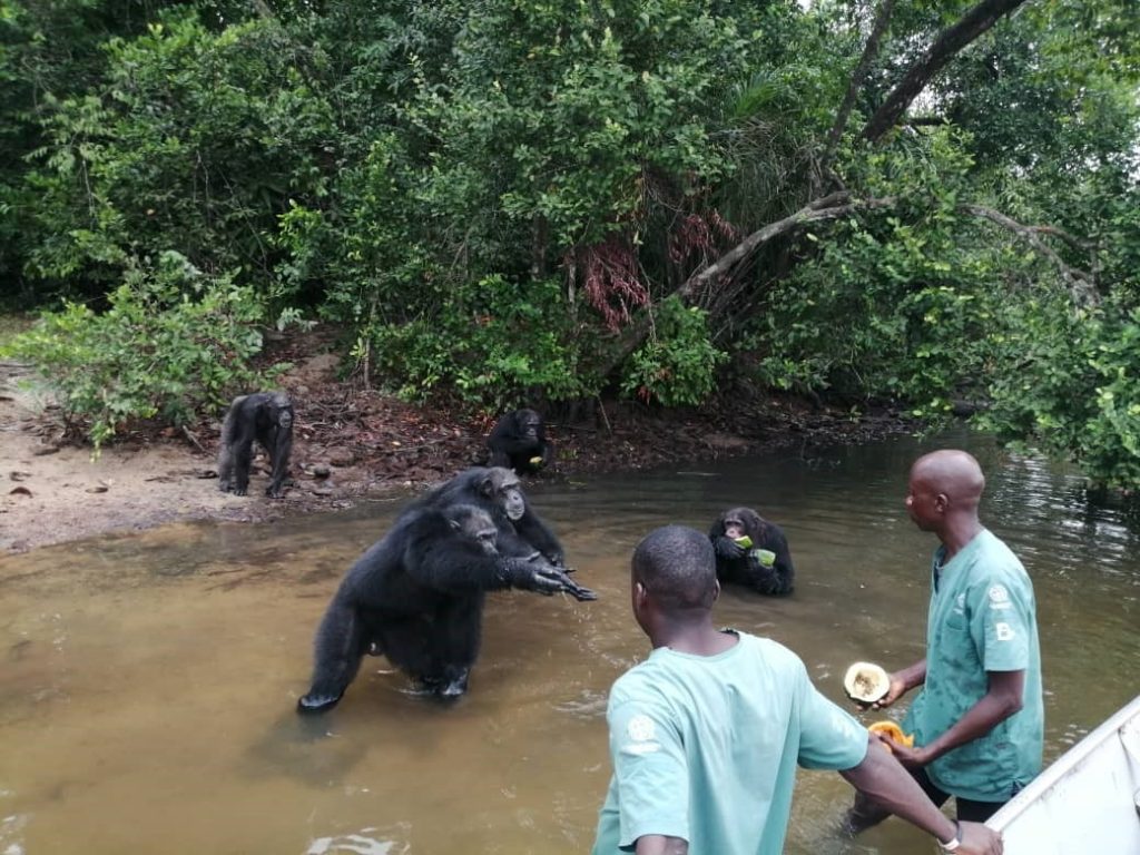 Humane Society International Seeks more Protection For wildlife In ...