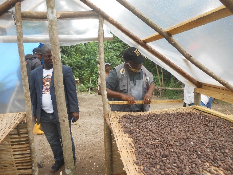 VADEMCO and Atlantic Cocoa cement market linkage for Liberian cocoa ...