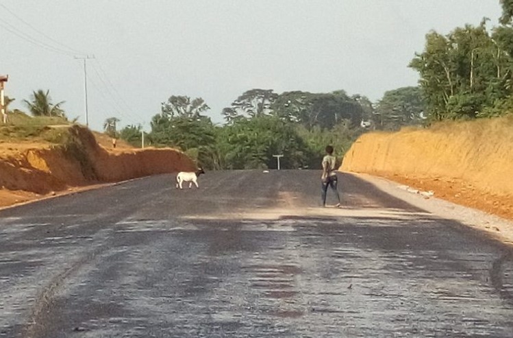 Road Travelers decry worsen condition of Ganta-Sanniquellie highway ...