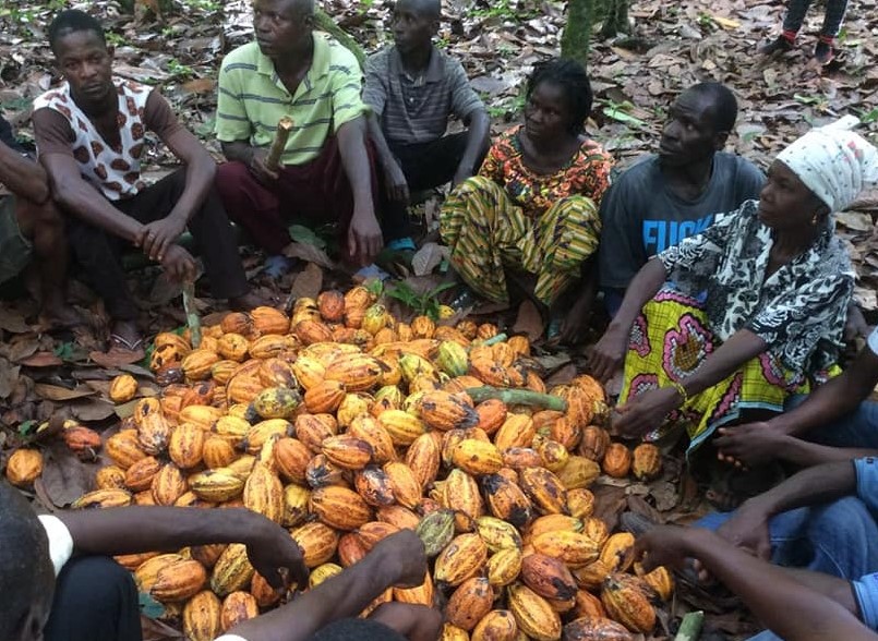 VADEMCO: ‘Adding value to Liberian cocoa’ - Liberia Public Radio