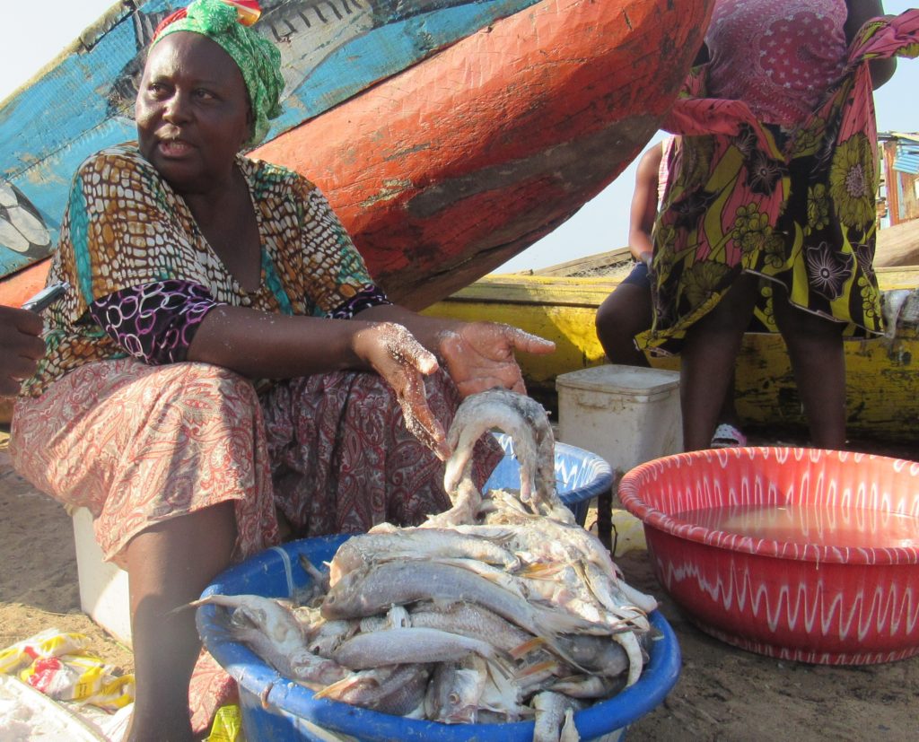 Liberian fishing communities decry poor working environment - Liberia ...
